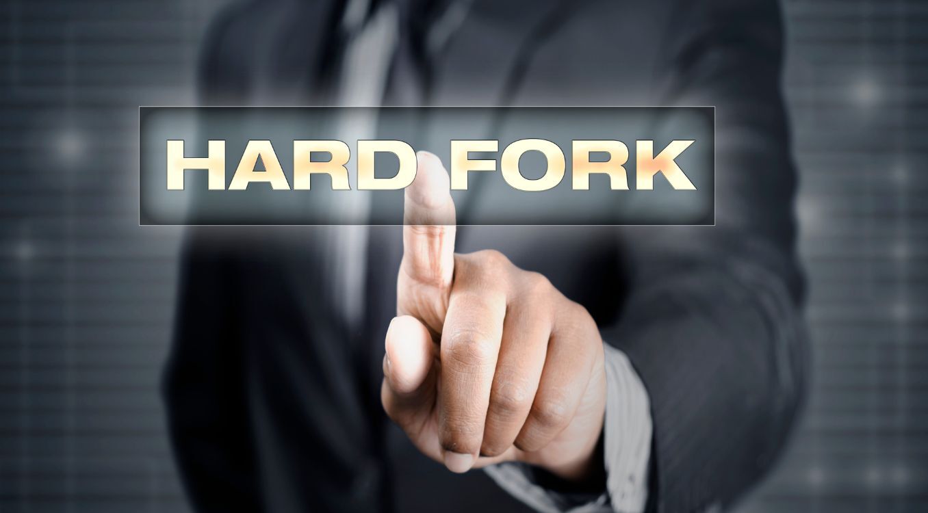Fork là gì? Phân biệt Fork cứng và Fork mềm - BlockchainWork Insider