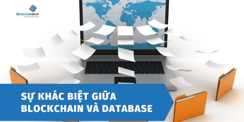 Sự khác biệt giữa Blockchain và Database - BlockchainWork Insider