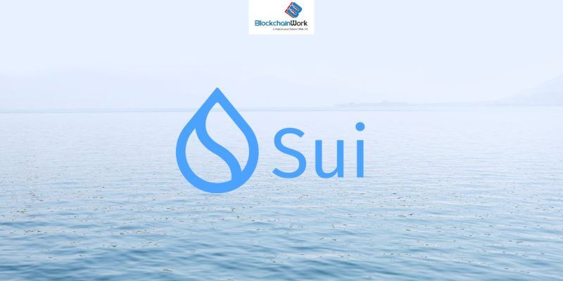 SUI là gì? Tìm hiểu chi tiết về dự án SUI - BlockchainWork Insider