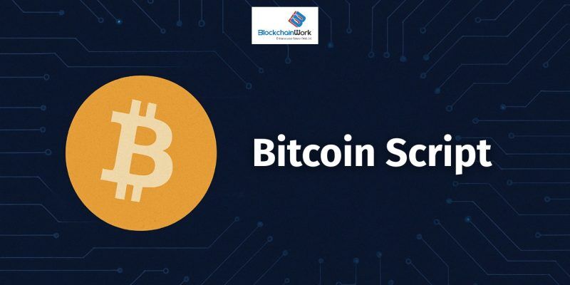 Bitcoin Script là gì? Bitcoin Script hoạt động như thế nào? Hướng dẫn ...
